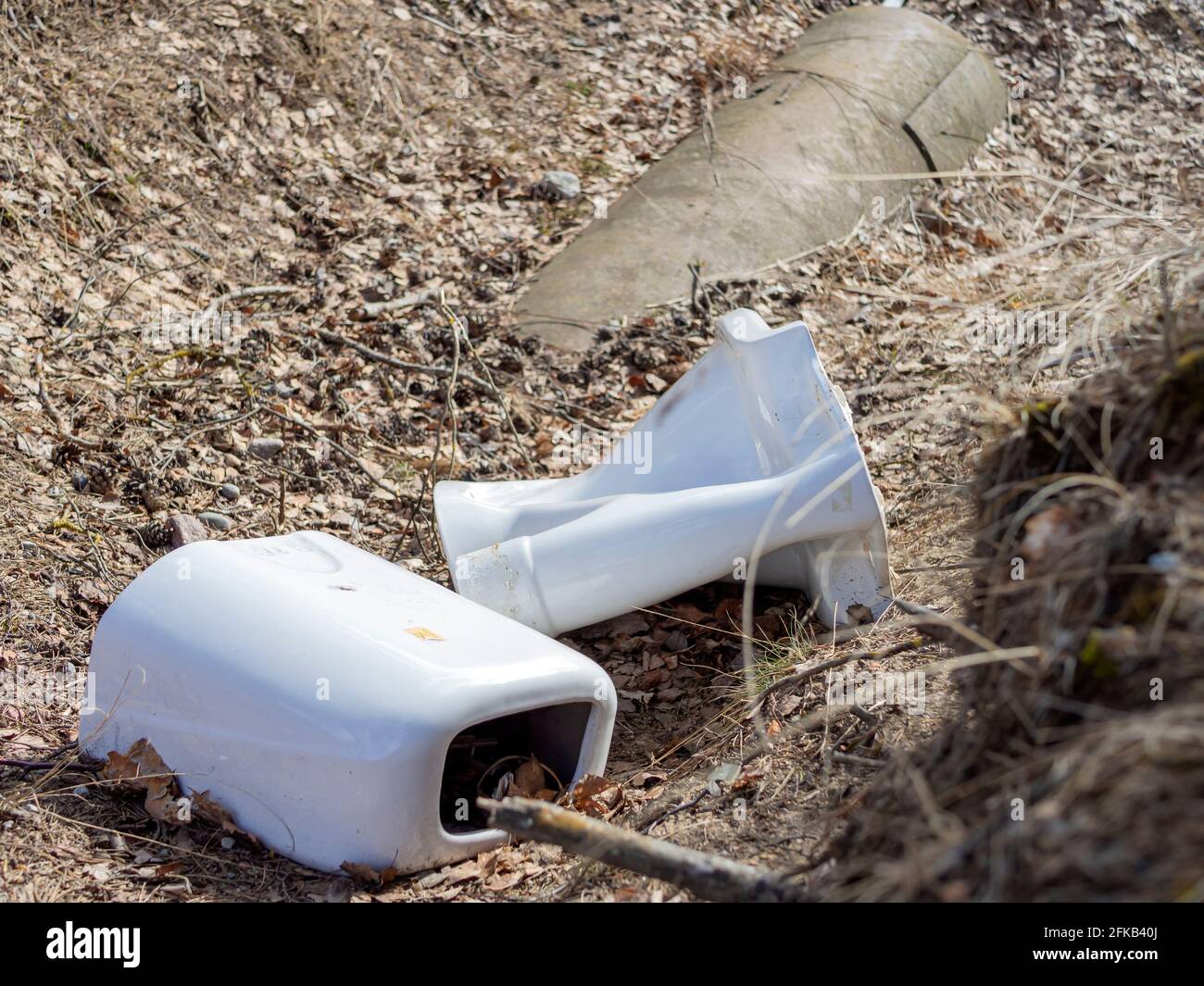 Toilet Litter. Pollution of the forest by household rubbish on nature ...