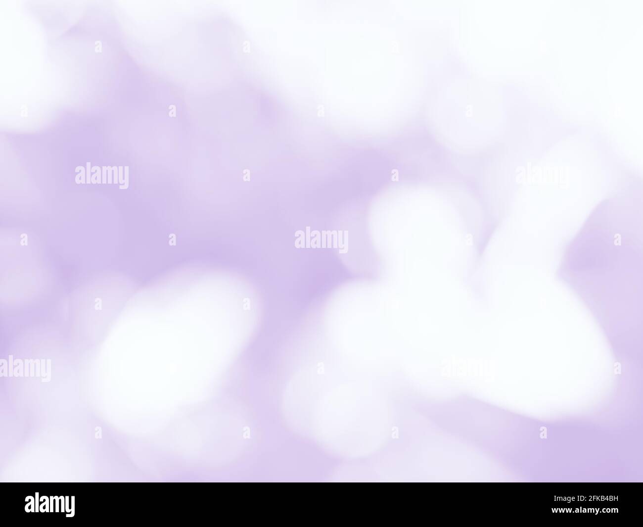 Abstract light blur cloud effect purple background Stock Photo - Alamy