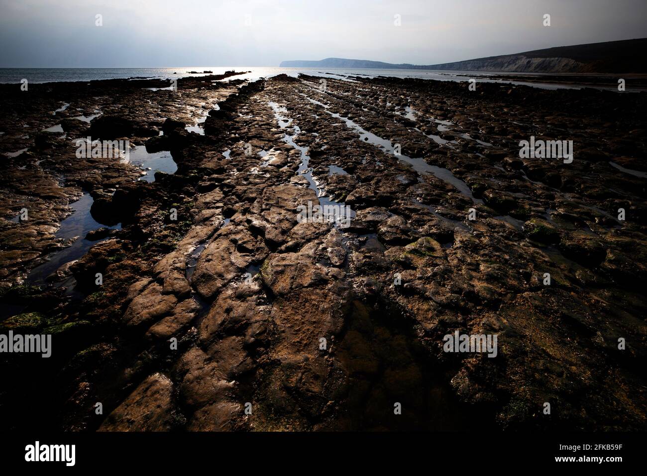 Cretaceous Sedimentary Rocks High Resolution Stock Photography and ...