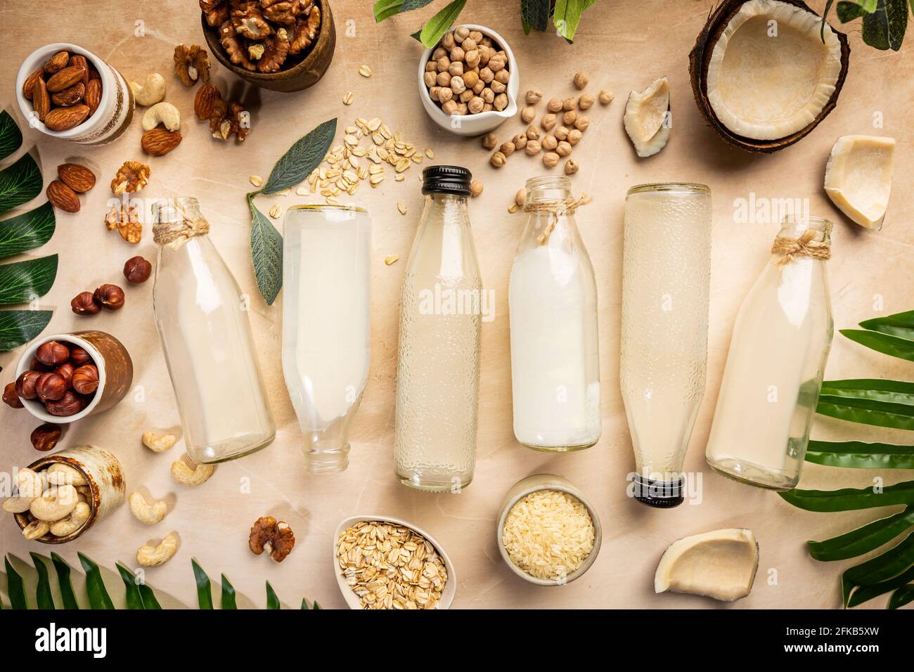Vegan non dairy plant based milk in bottles and ingredients on light ...