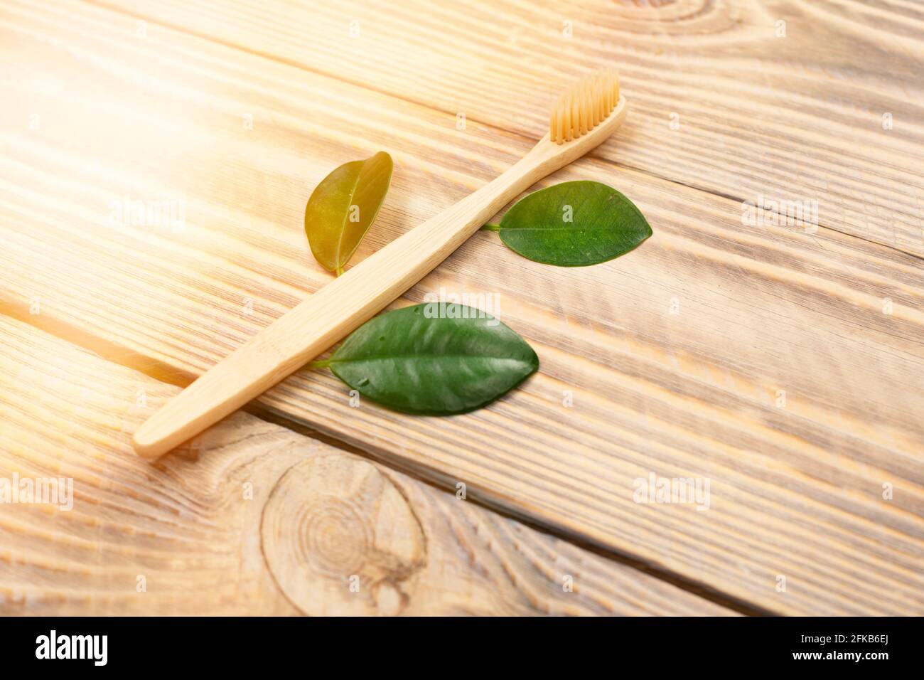 Natural eco friendly bamboo toothbrush with green tree leaves on a ...