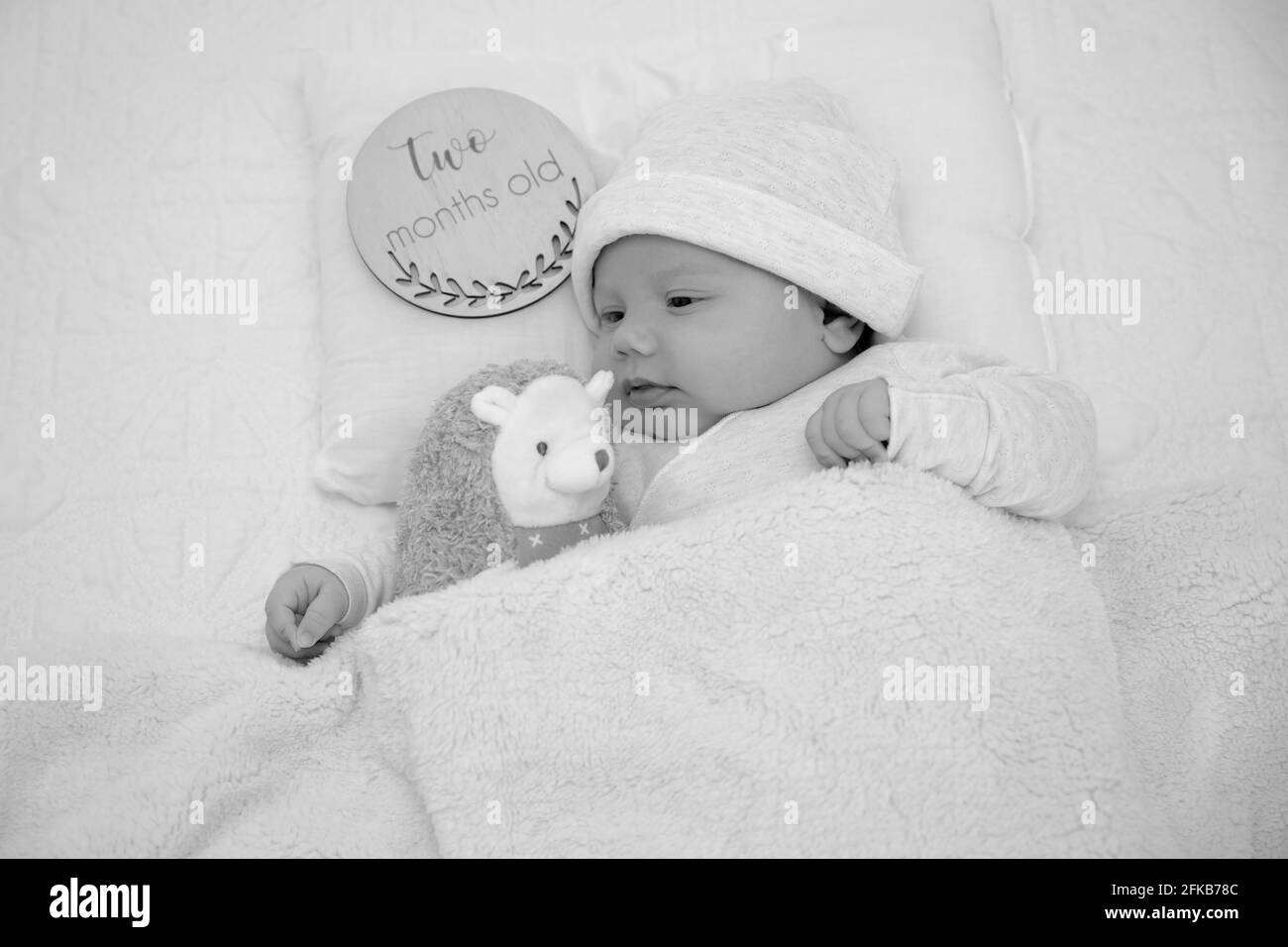 Baby - 2 months old Stock Photo - Alamy