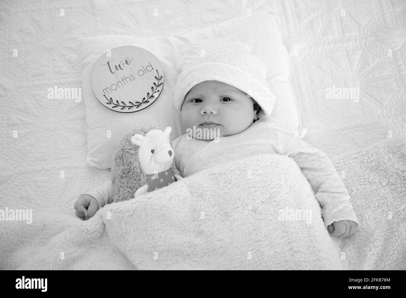 Baby - 2 months old Stock Photo - Alamy