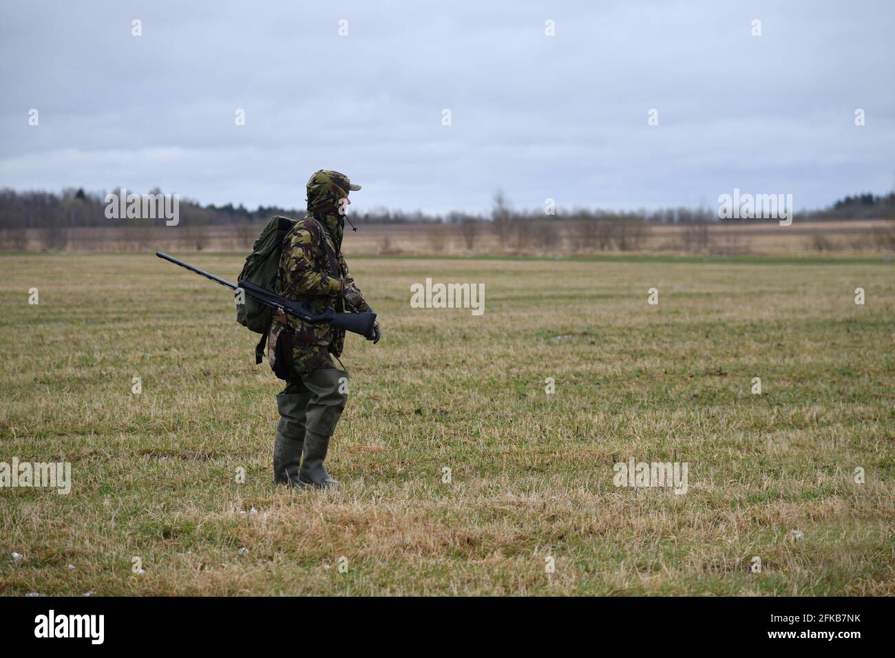 A hunter with the rifle going in field at dawn. Bird hunting Stock ...