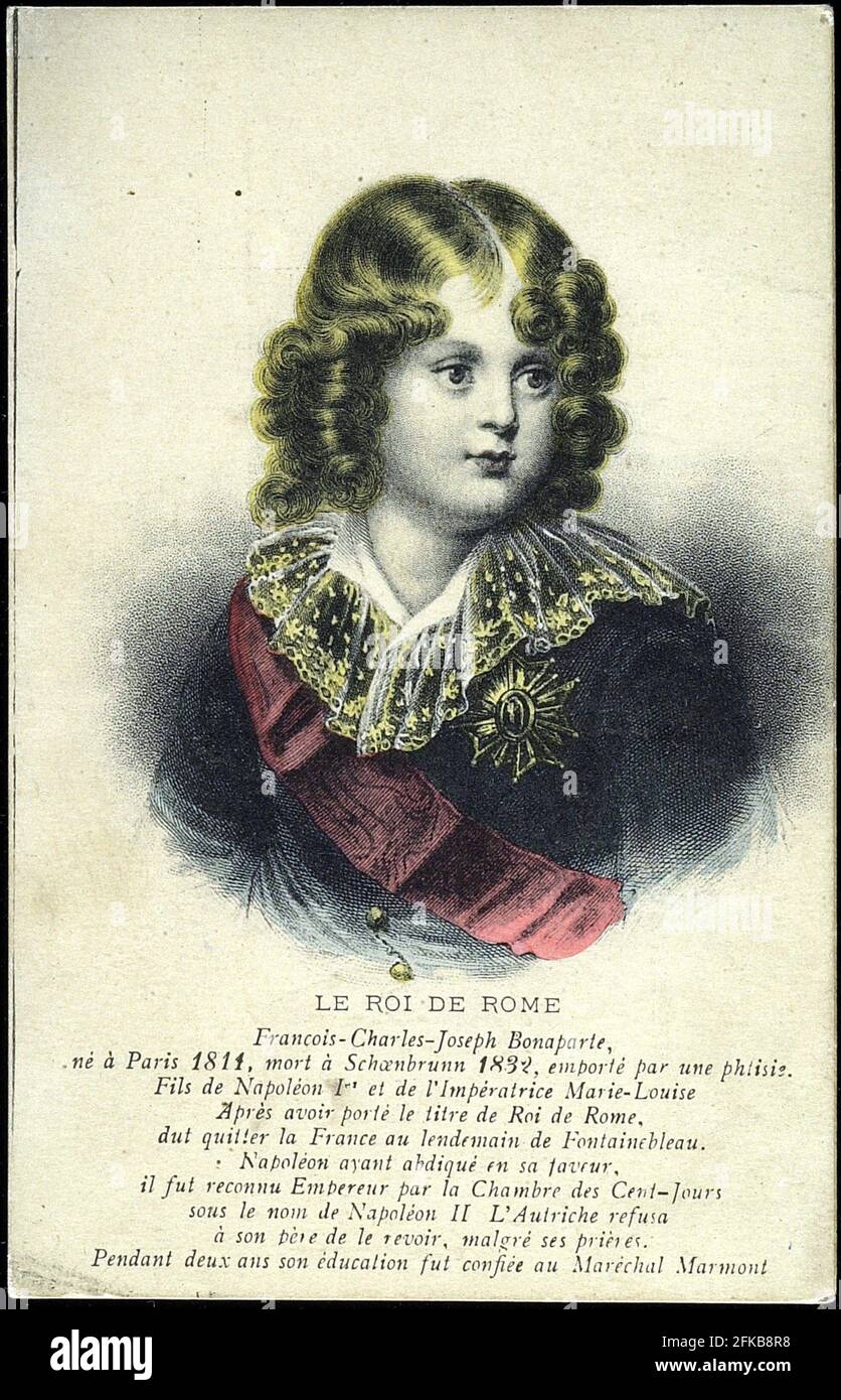 Portrait of Napoleon II, son of Napoleon I. Paris, Fondation Napoléon ...