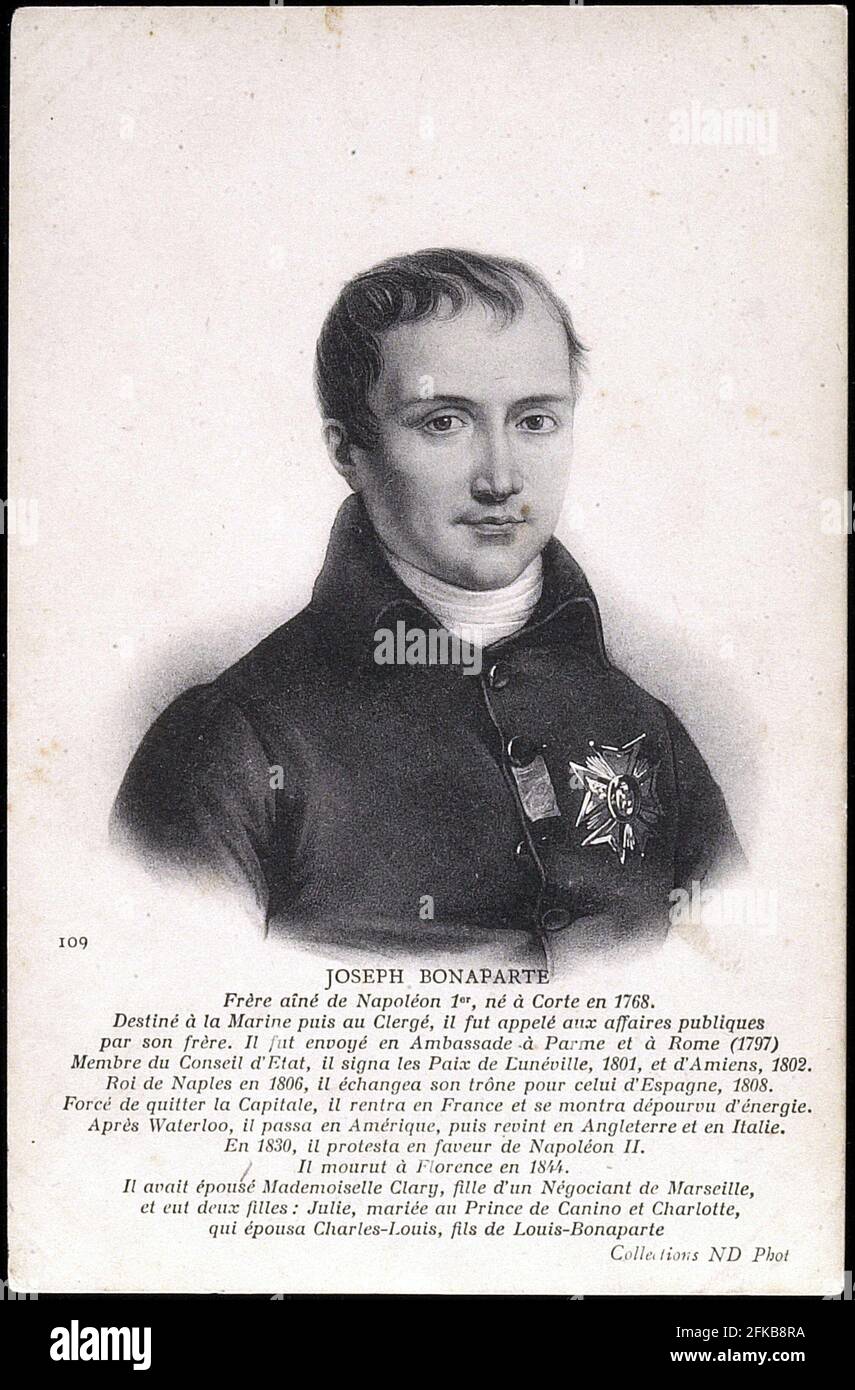 Portrait of Joseph Bonaparte, brother of Napoleon I. Paris, Fondation ...