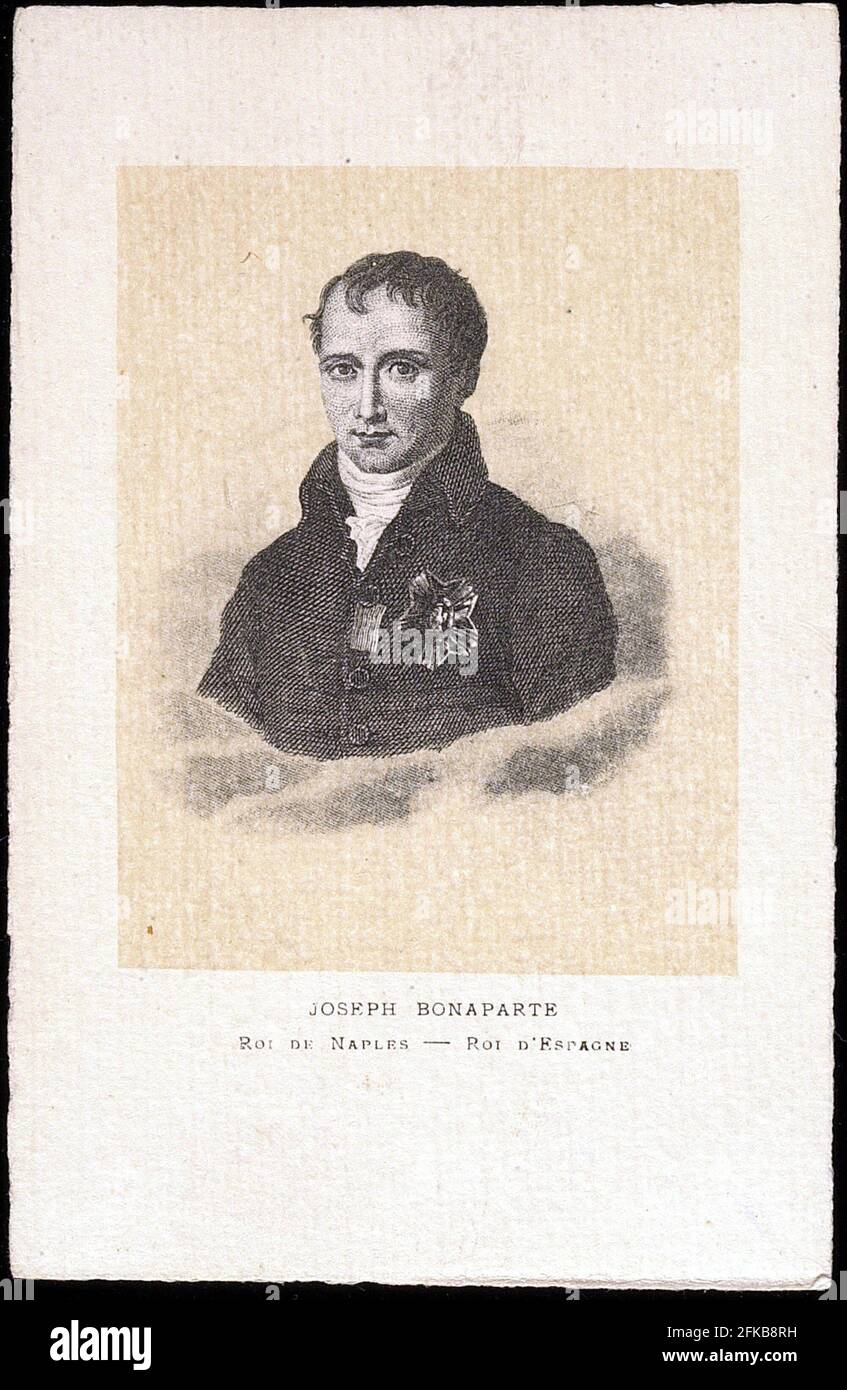 Portrait of Joseph Bonaparte, brother of Napoleon I. Paris, Fondation ...