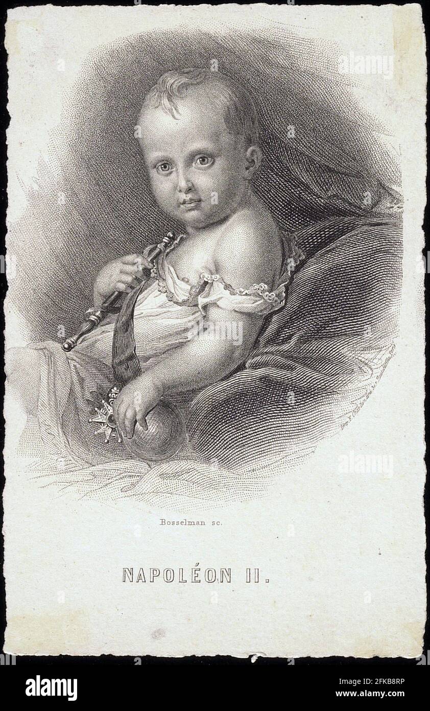 Portrait of Napoleon II, son of Napoleon I. Paris, Fondation Napoléon ...