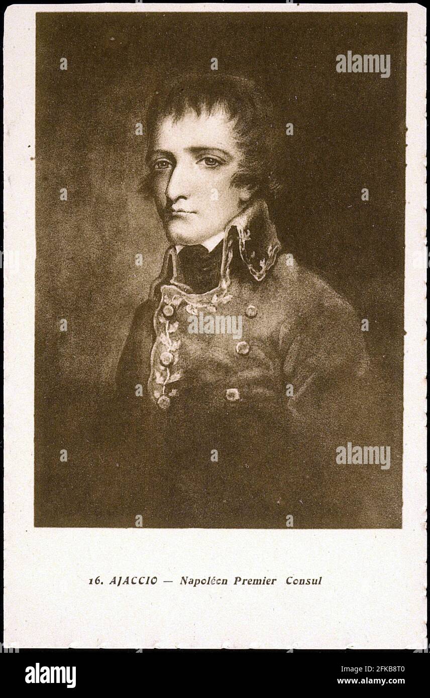 Portrait of Napoleon I, the First Consul. Paris, Fondation Napoléon ...