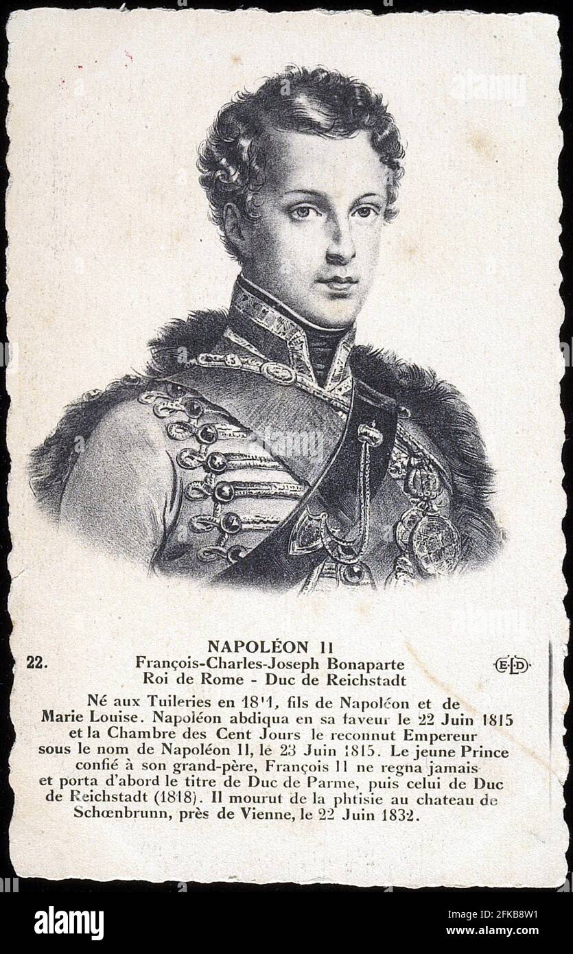 Portrait of Napoleon II, son of Napoleon I. Paris, Fondation Napoléon ...