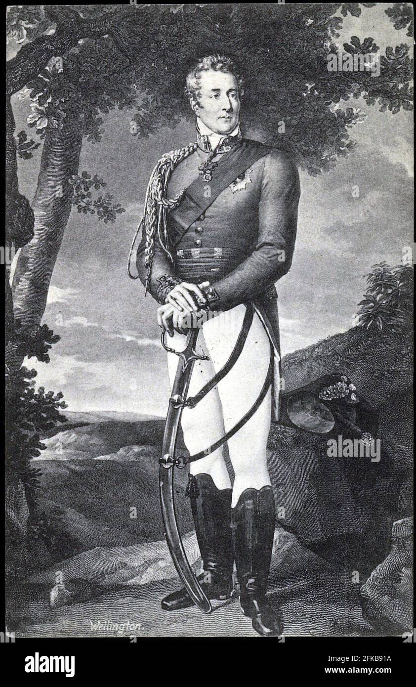 Portrait of General Wellington. Paris, Fondation Napoléon Stock Photo ...