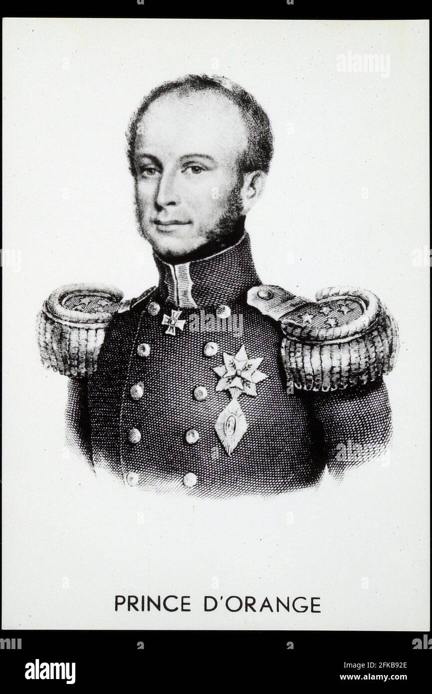 Portrait of the Prince of Orange (Netherlands). Paris, Fondation ...