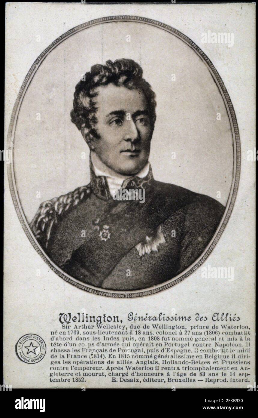 Portrait of General Wellington. Paris, Fondation Napoléon Stock Photo ...