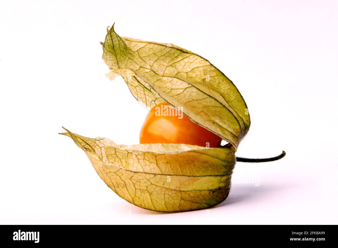 Calyx High Resolution Stock Photography and Images - Alamy