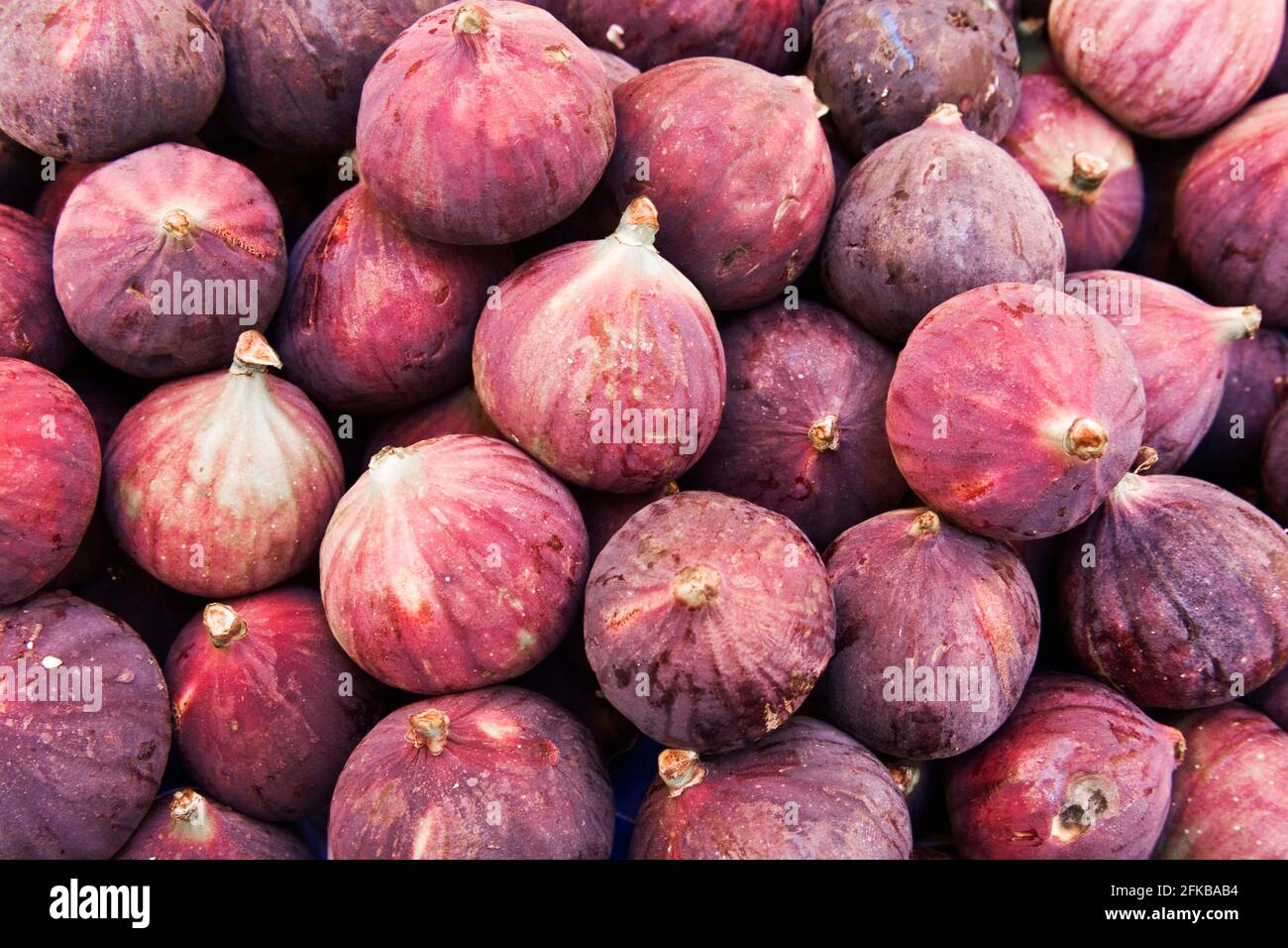 Edible fig, Common fig (Ficus carica), figs at the market Stock Photo ...
