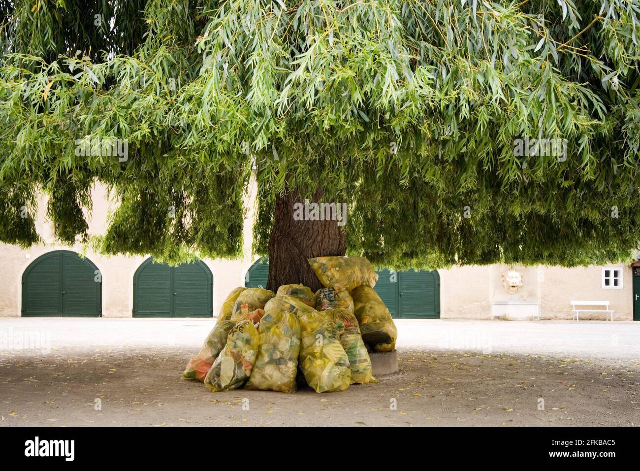 Plastic pollution tree hi-res stock photography and images - Alamy