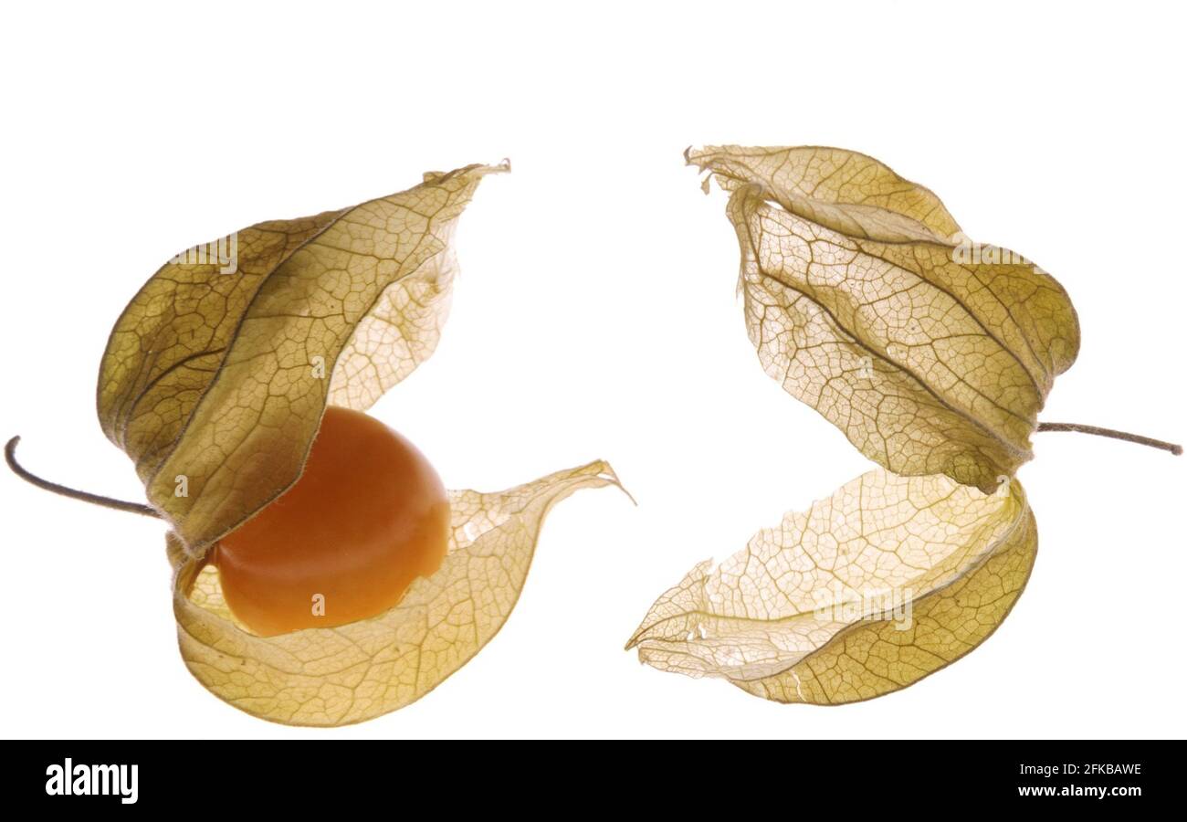 Calyx High Resolution Stock Photography and Images - Alamy