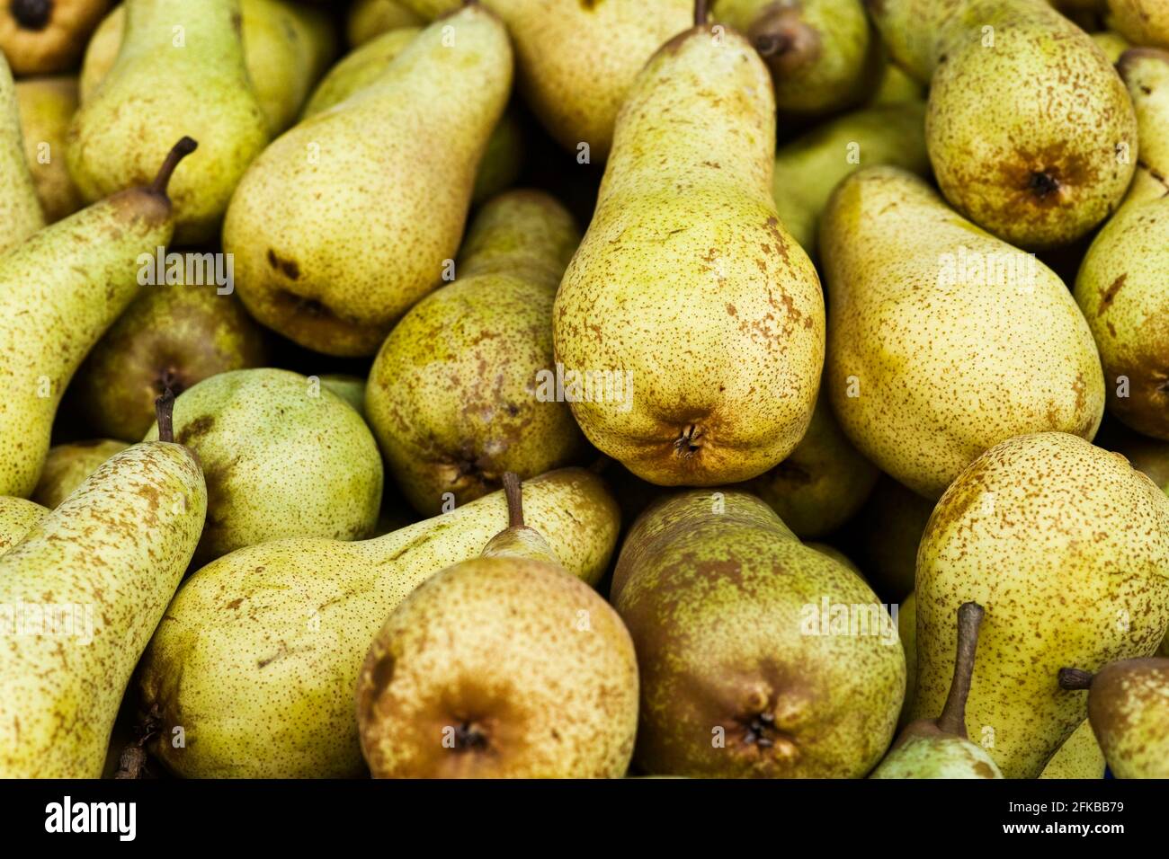 Common pear (Pyrus communis), ripe pears Stock Photo - Alamy