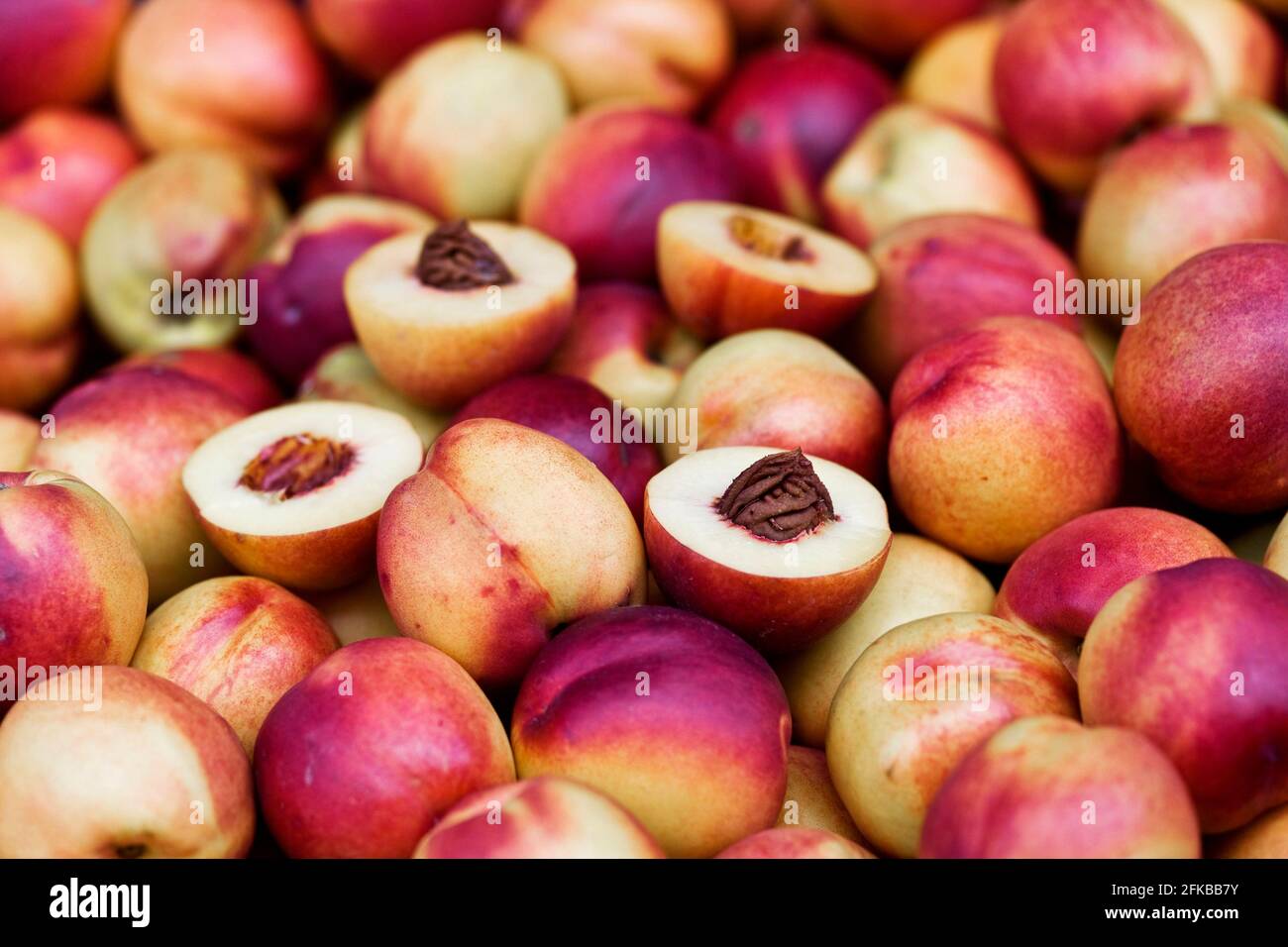 Nectarine (Prunus persica var. nectarina, Prunus nectarina), whole and ...