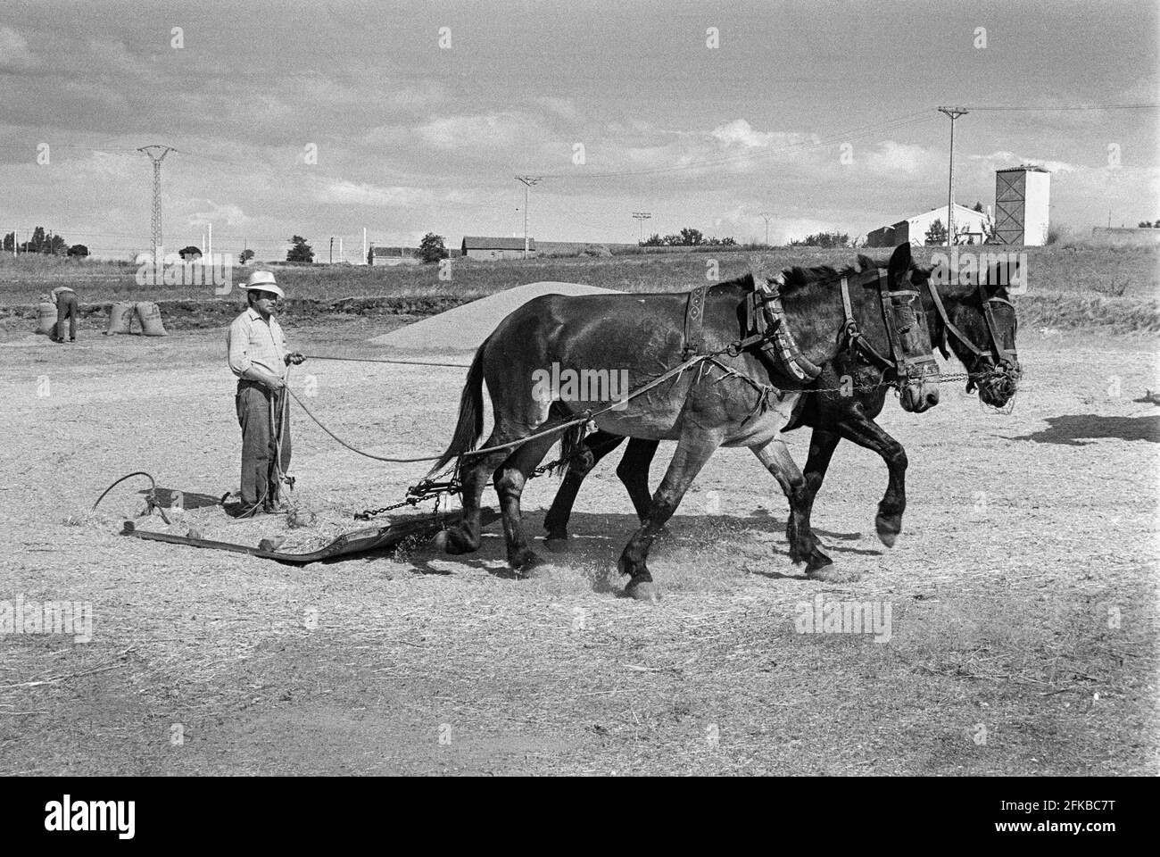 Threshing sled Black and White Stock Photos & Images - Alamy