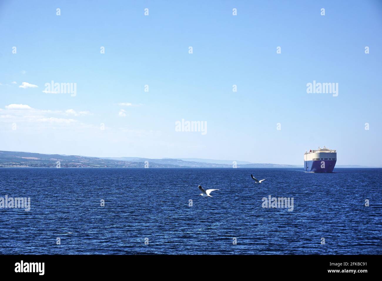 Big cargo ship crossing the strait Stock Photo - Alamy