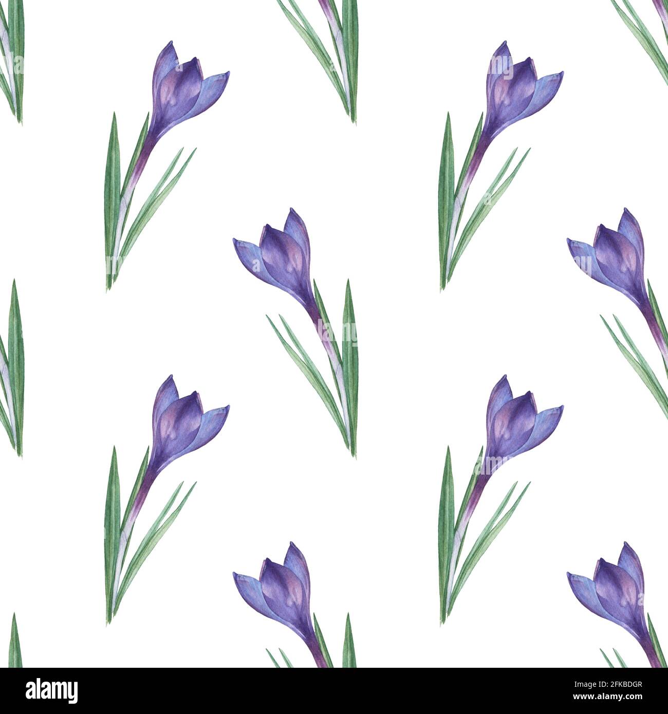 Crocus 3. Seamless floral pattern. Watercolor illustration. Hand ...