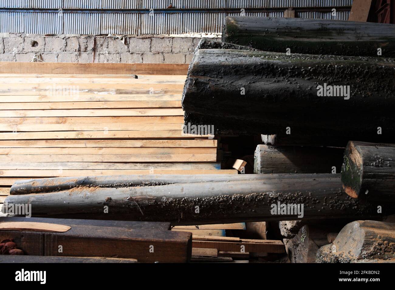 Stock of teak wood tree trunk and planks of another wood Stock Photo ...