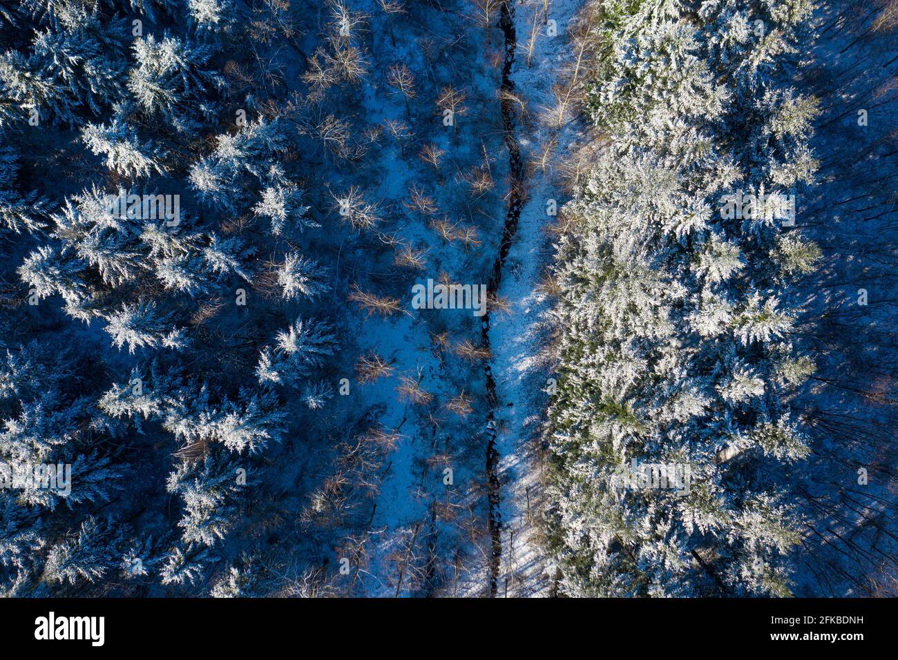 Aerial view conifer forest forest hi-res stock photography and images ...
