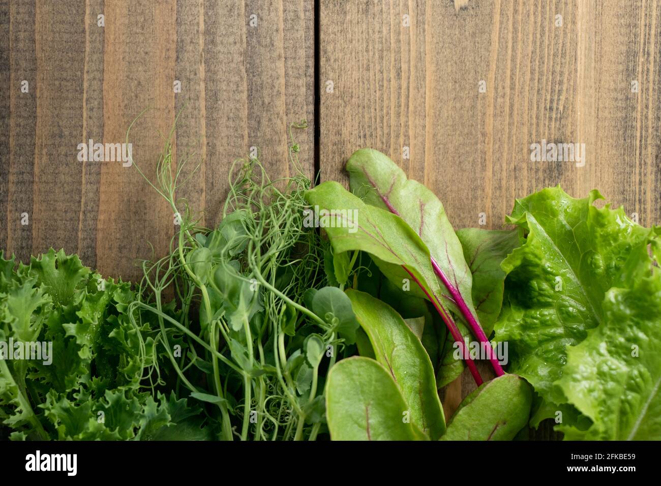 different types of salads on a wooden surface. Young juicy sprouts of ...