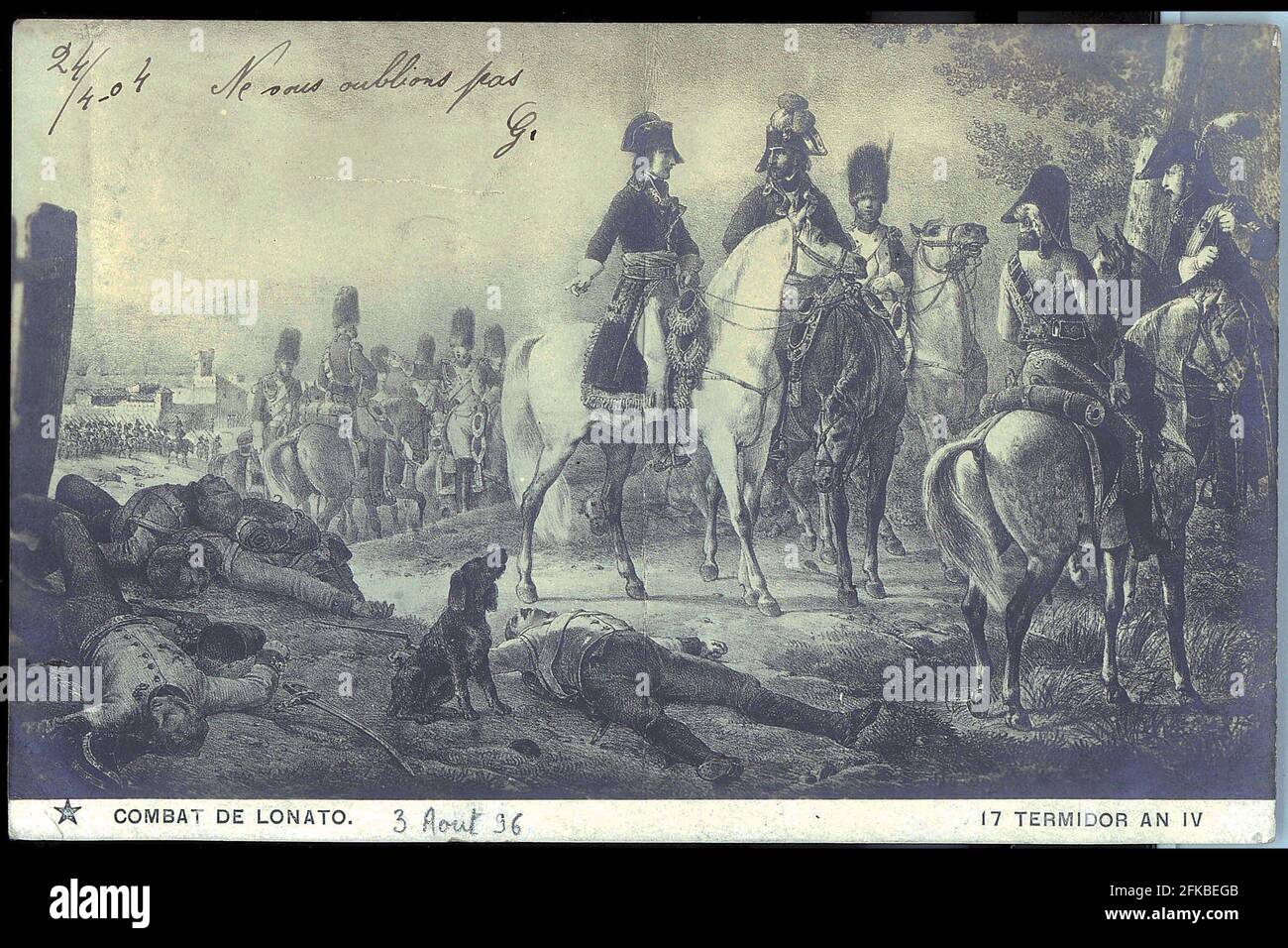 Napoleon dog hi-res stock photography and images - Alamy