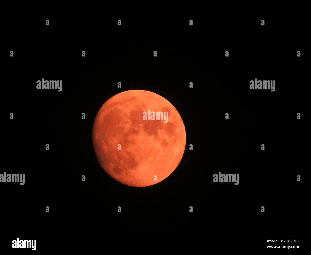Full Red Moon in near plan Stock Photo - Alamy