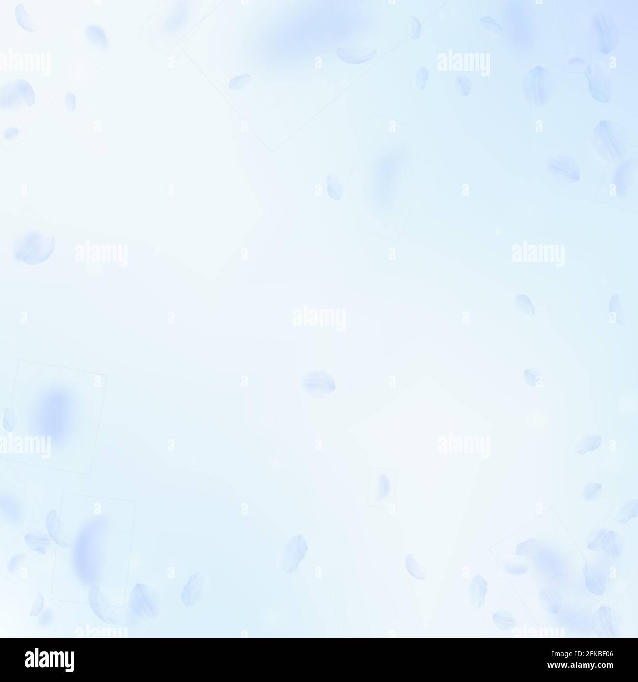 Light blue flower petals falling down. Powerful romantic flowers ...