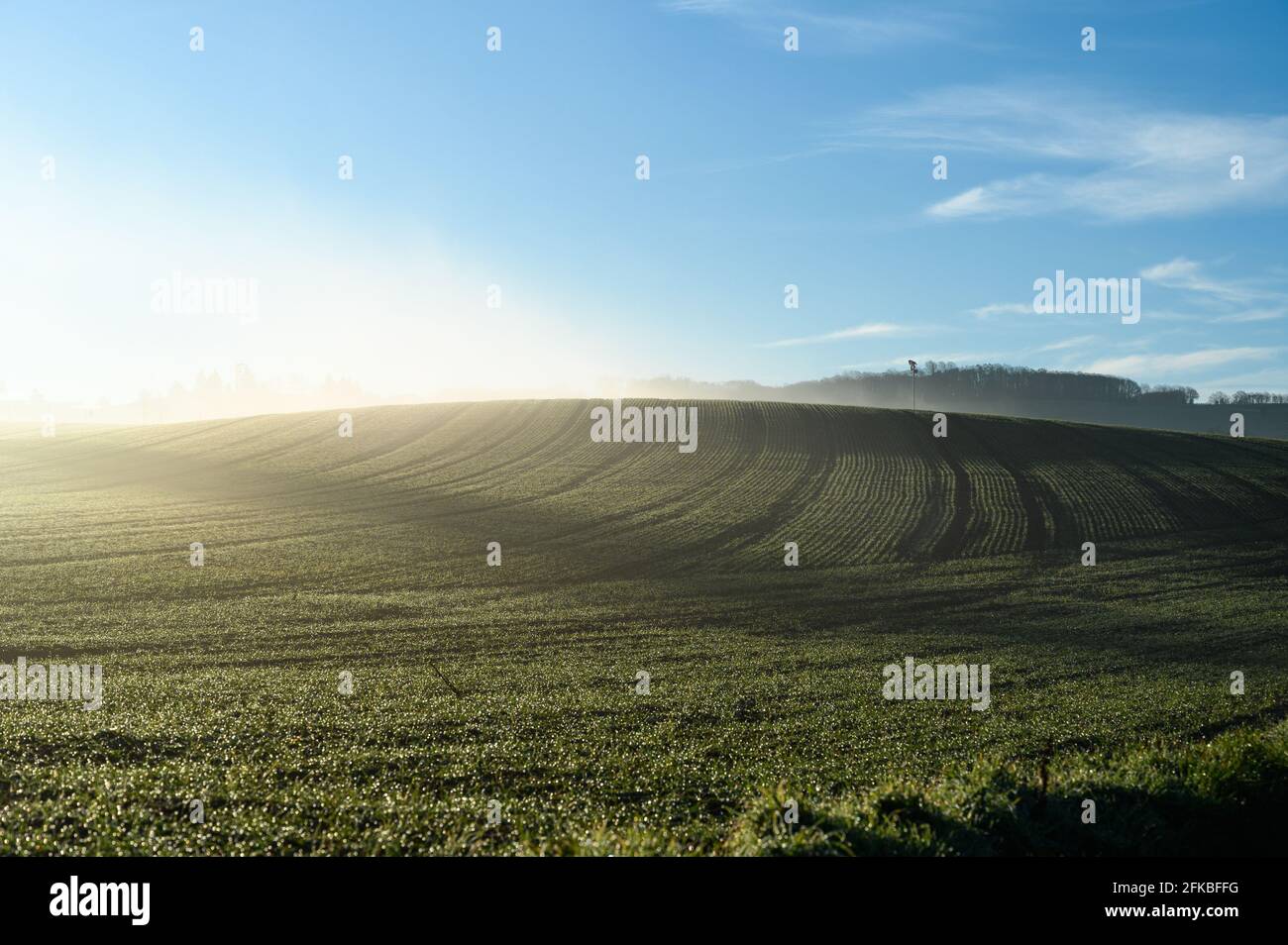 Sunrise over farm land hi-res stock photography and images - Alamy