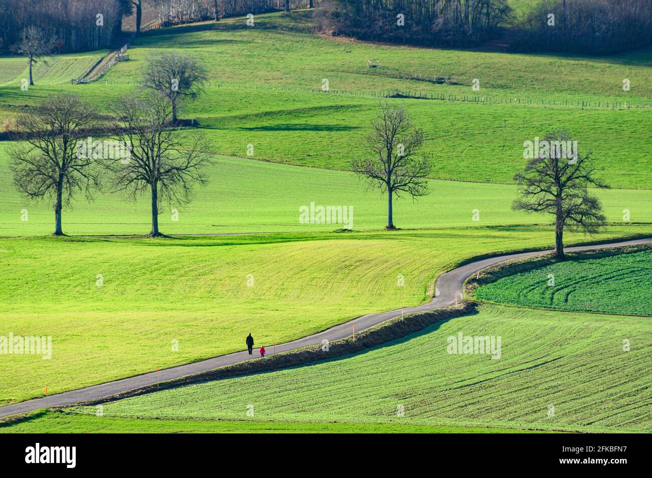 Aerial drone shot passing through hi-res stock photography and images ...