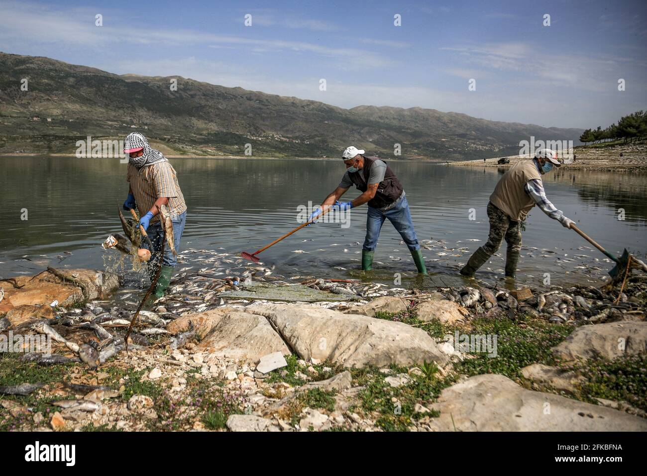 Qaraoun hi-res stock photography and images - Alamy