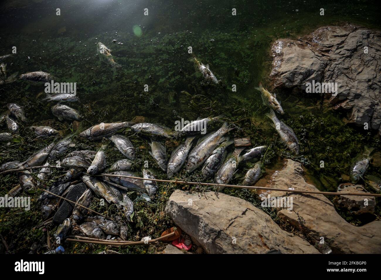 Qaraoun lake hi-res stock photography and images - Alamy