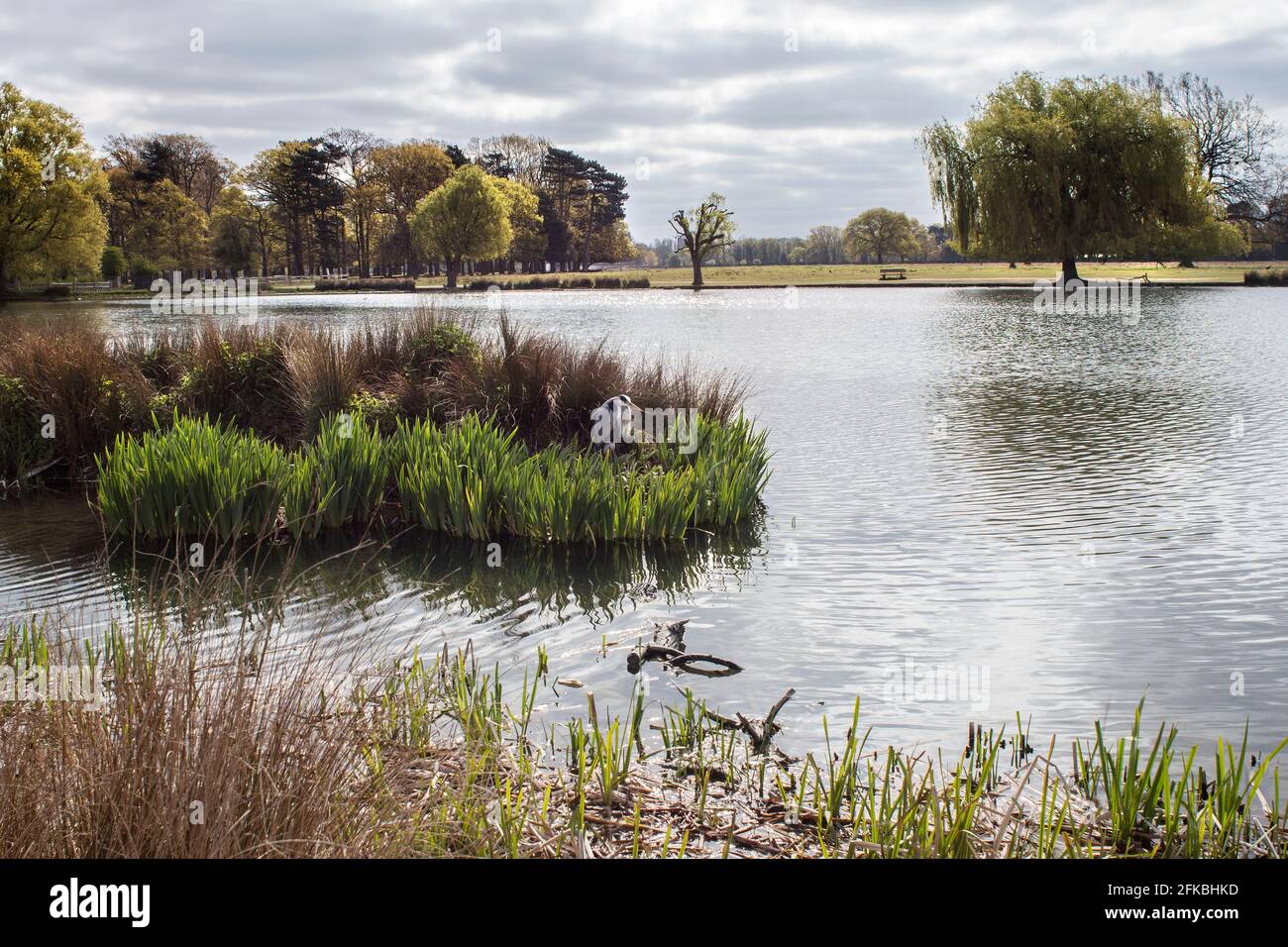 Wide open spaces in nature hi-res stock photography and images - Alamy