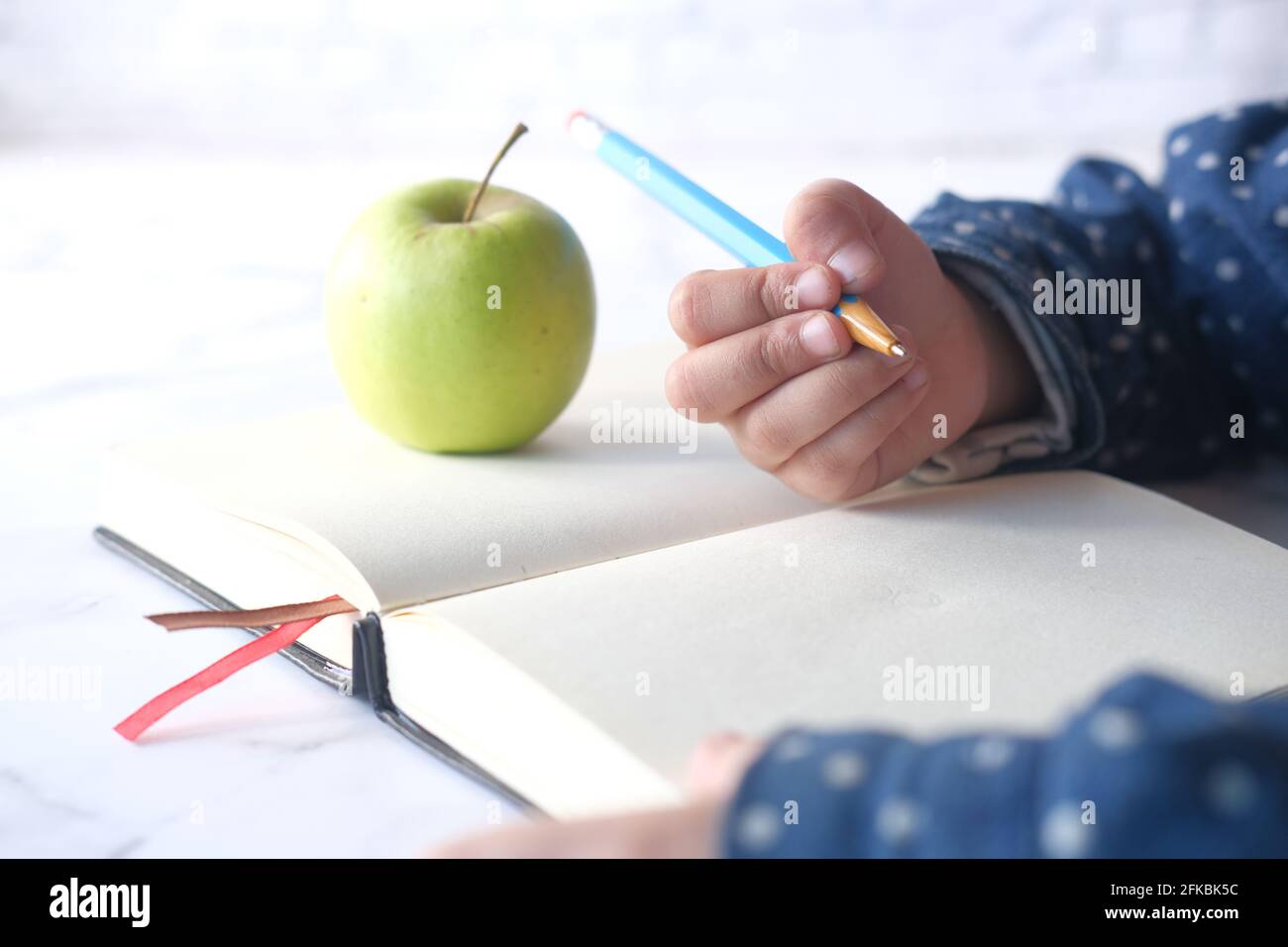 Girl with pencil and journal hi-res stock photography and images - Alamy