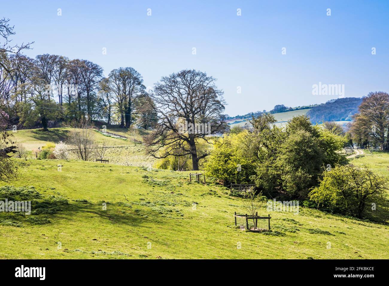 Spring view over rolling countryside in the Worcestershire Cotswolds ...