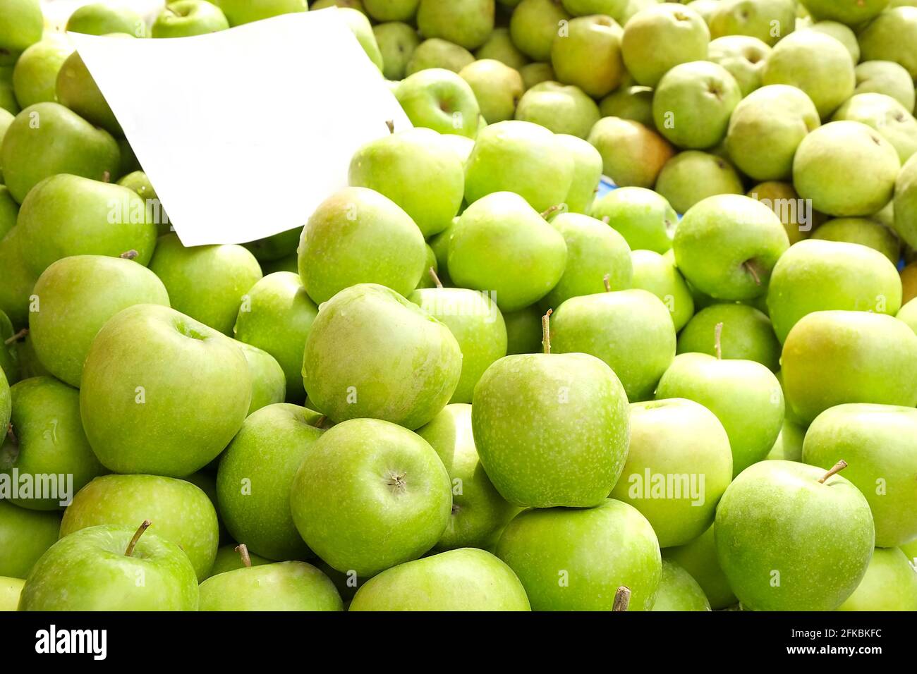 A bunch of ripe freshly picked organic crunchy green granny smith ...