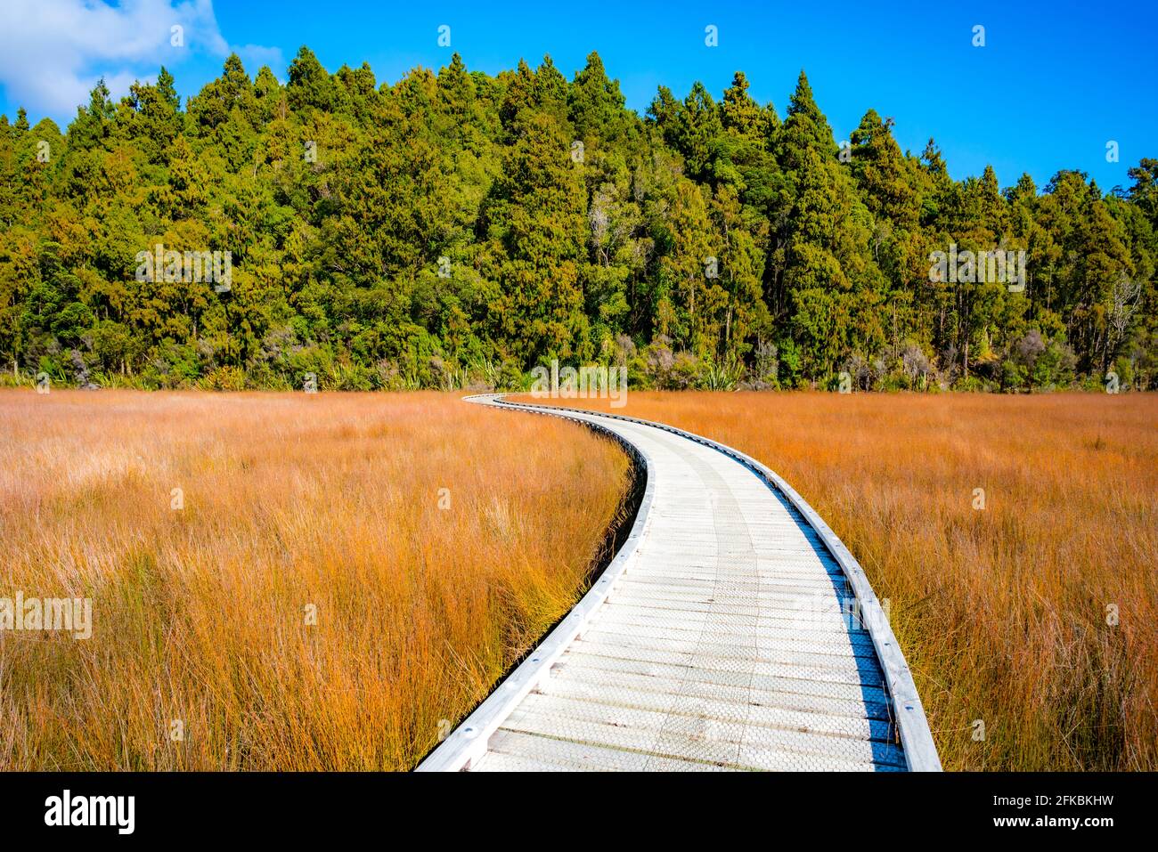 Okarito Board Walk New Zealand Stock Photo - Alamy