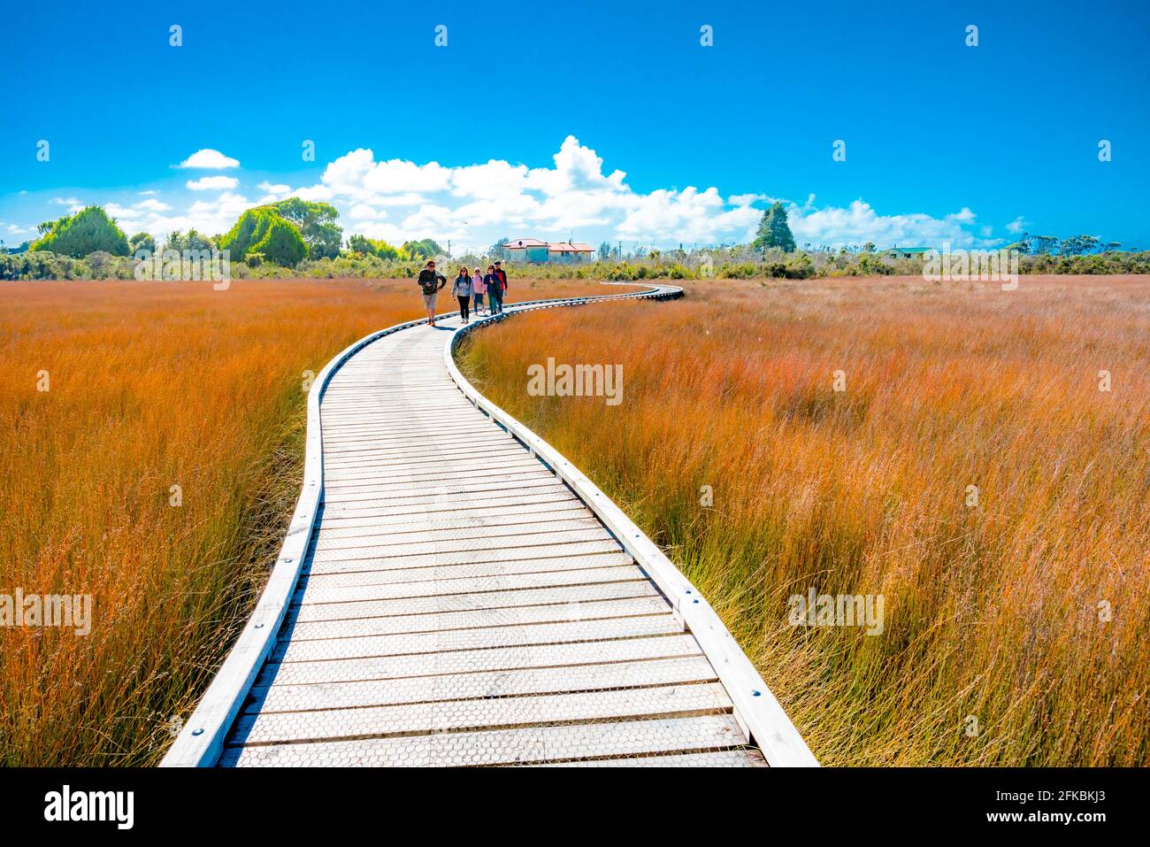 Okarito, new zealand hi-res stock photography and images - Alamy