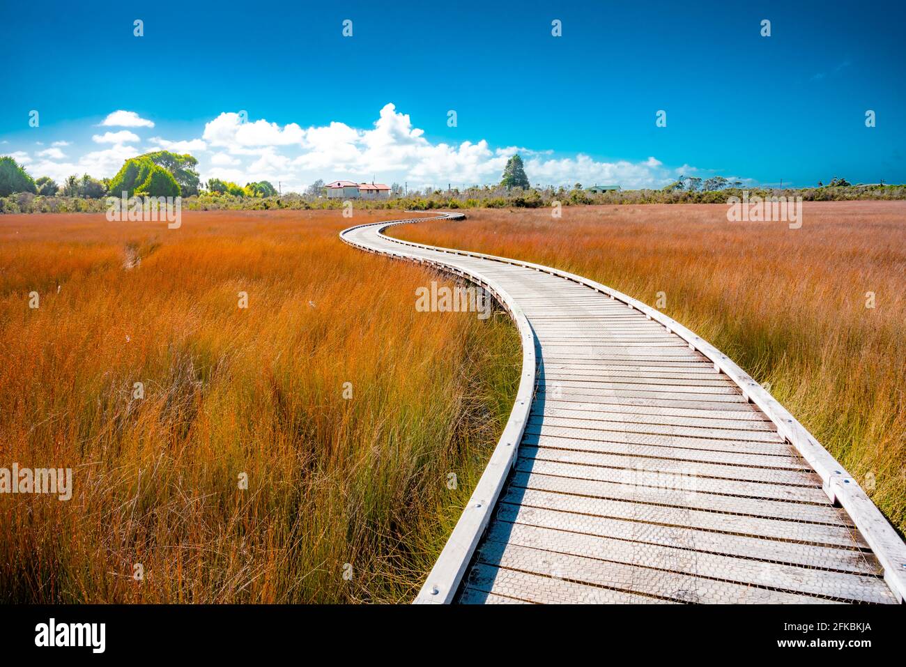 Okarito Board Walk New Zealand Stock Photo - Alamy