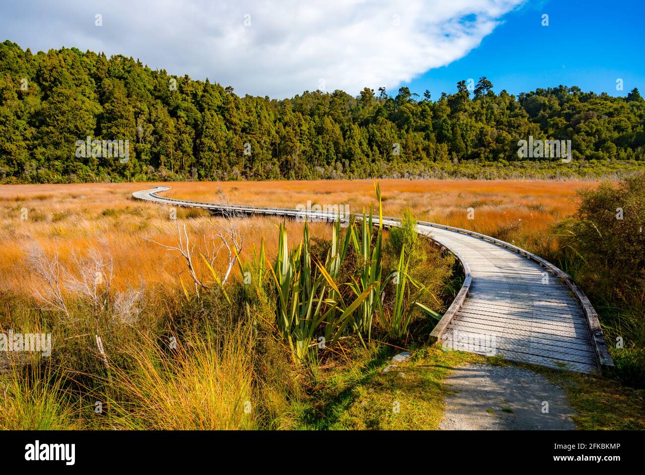 Okariito new zealand hi-res stock photography and images - Alamy