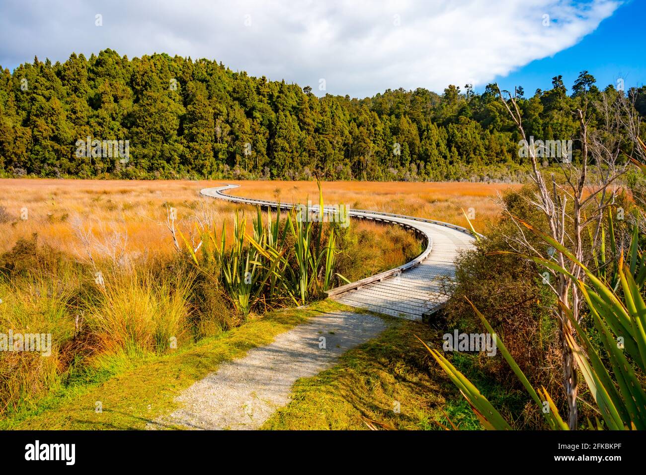 Okarito lagoon new zealand hi-res stock photography and images - Alamy