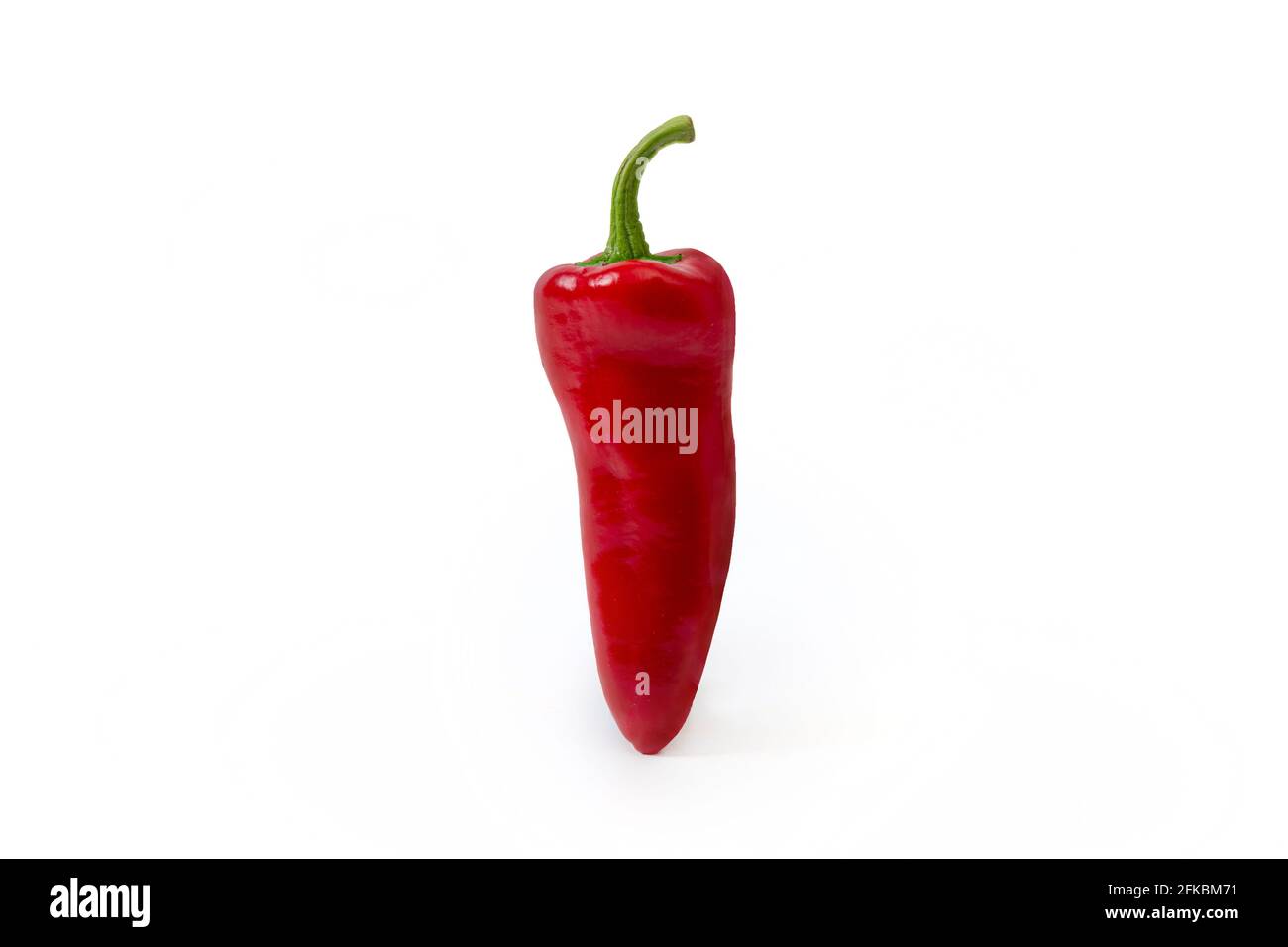 One whole upright red chilli pepper on a white background Stock Photo ...
