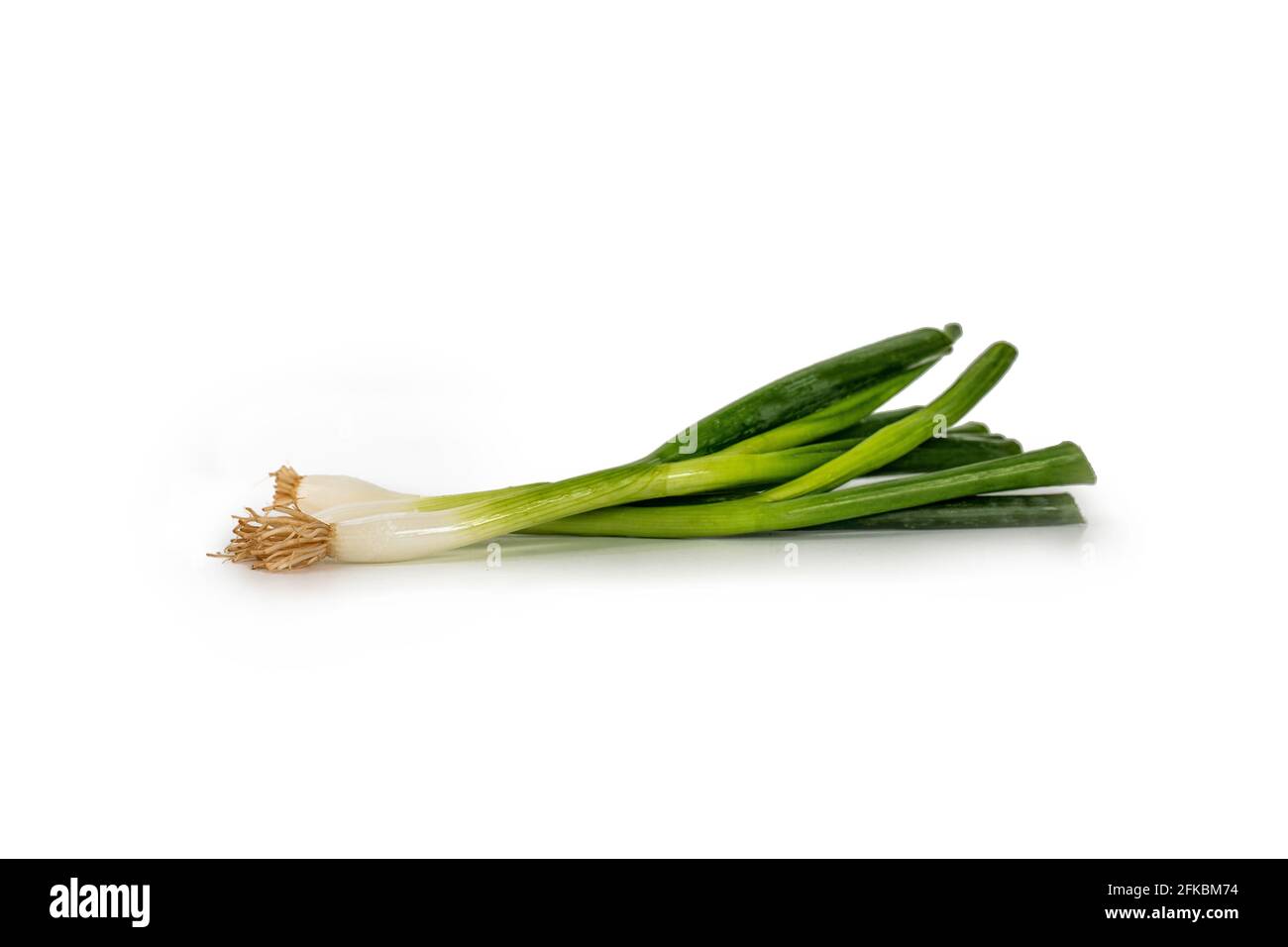 White alliums on green background hi-res stock photography and images ...