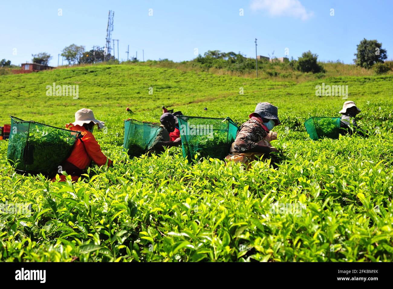 Valley field economy mountains hi-res stock photography and images - Alamy