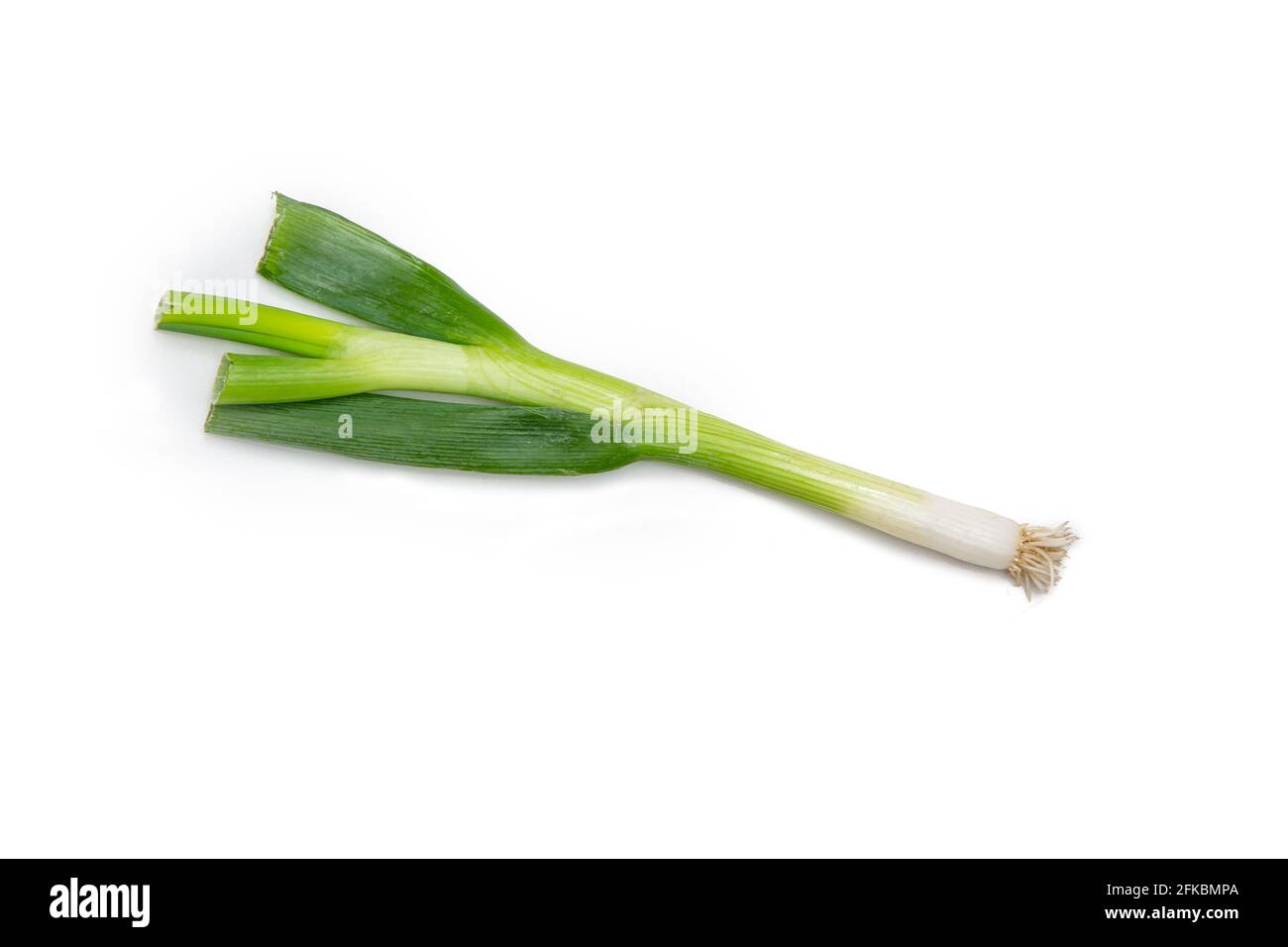 Whole Spring Onion on a White Background Stock Photo - Alamy