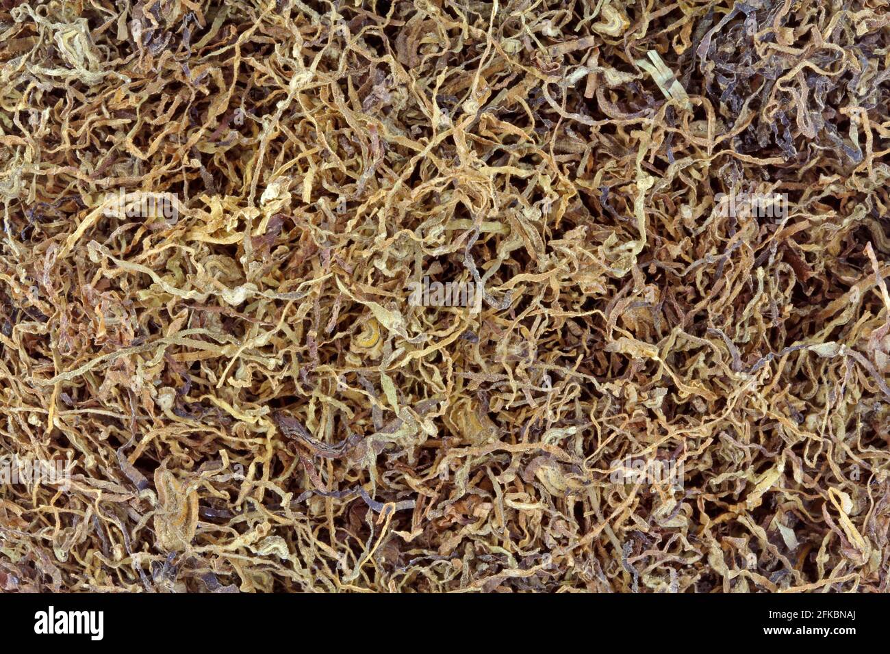 Closeup Background photo of dried Tobacco Stock Photo - Alamy